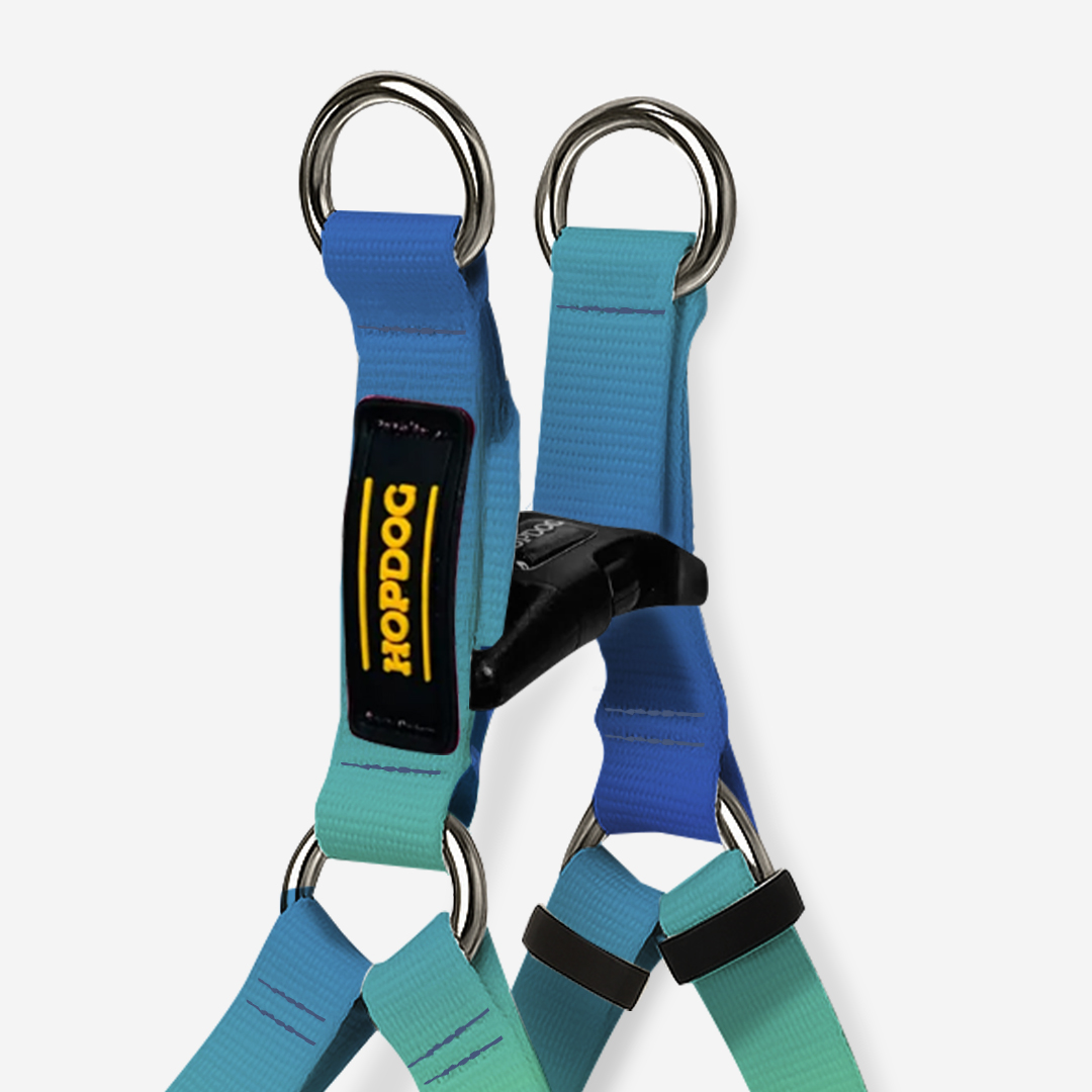 KIT Azul e Verde - Peitoral Step In com Guia Slim e Coleira - HopDog ...