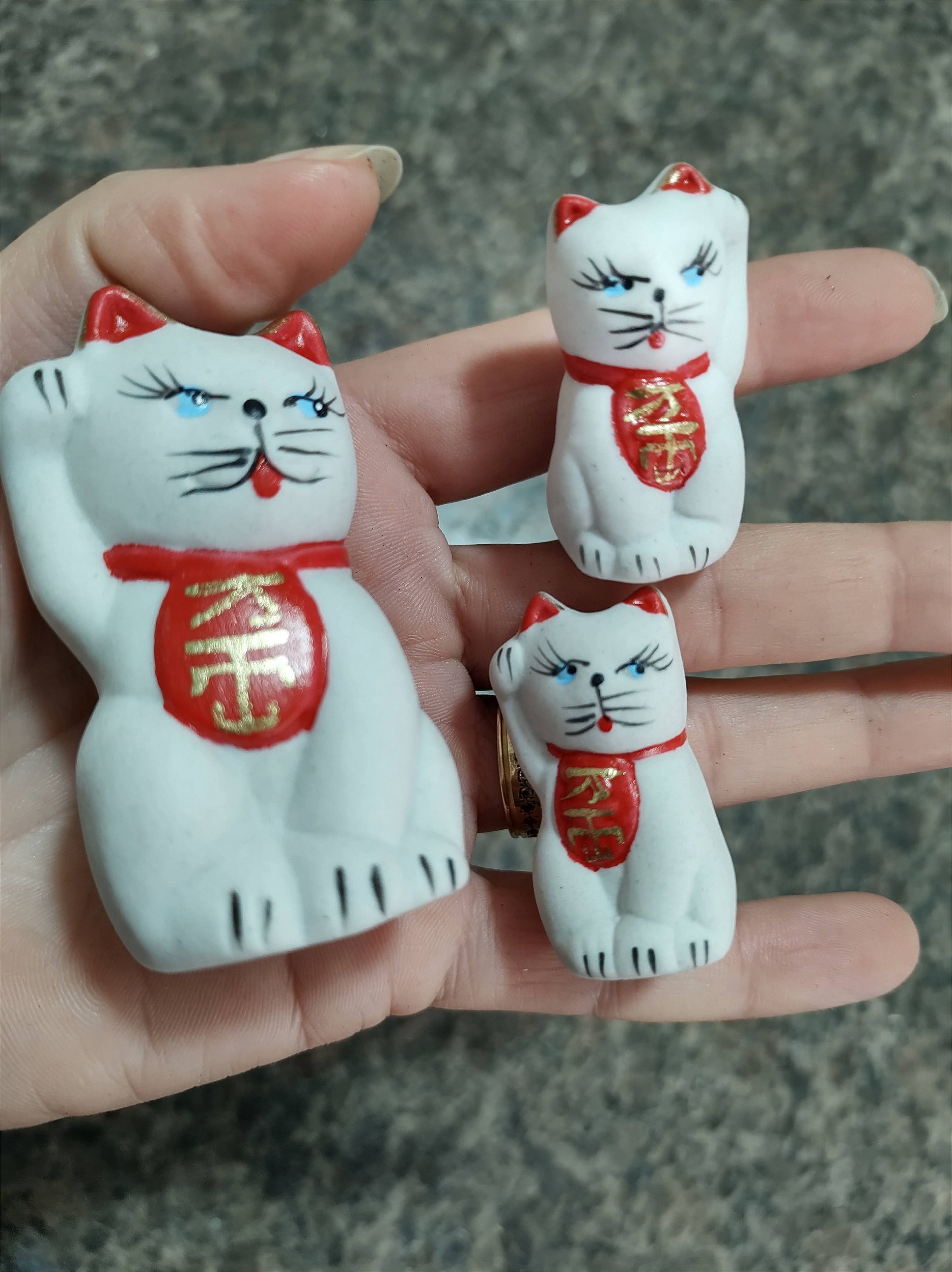 TERRÁRIO TRIO DE HELLO KITTY - Kátia Ferreira suculentas