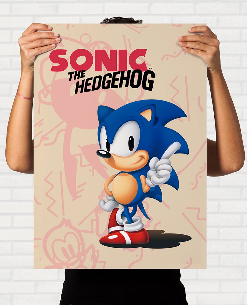 Quadro Sonic The Hedgehog - Pôster Sega Mega Drive - Final Frame ...