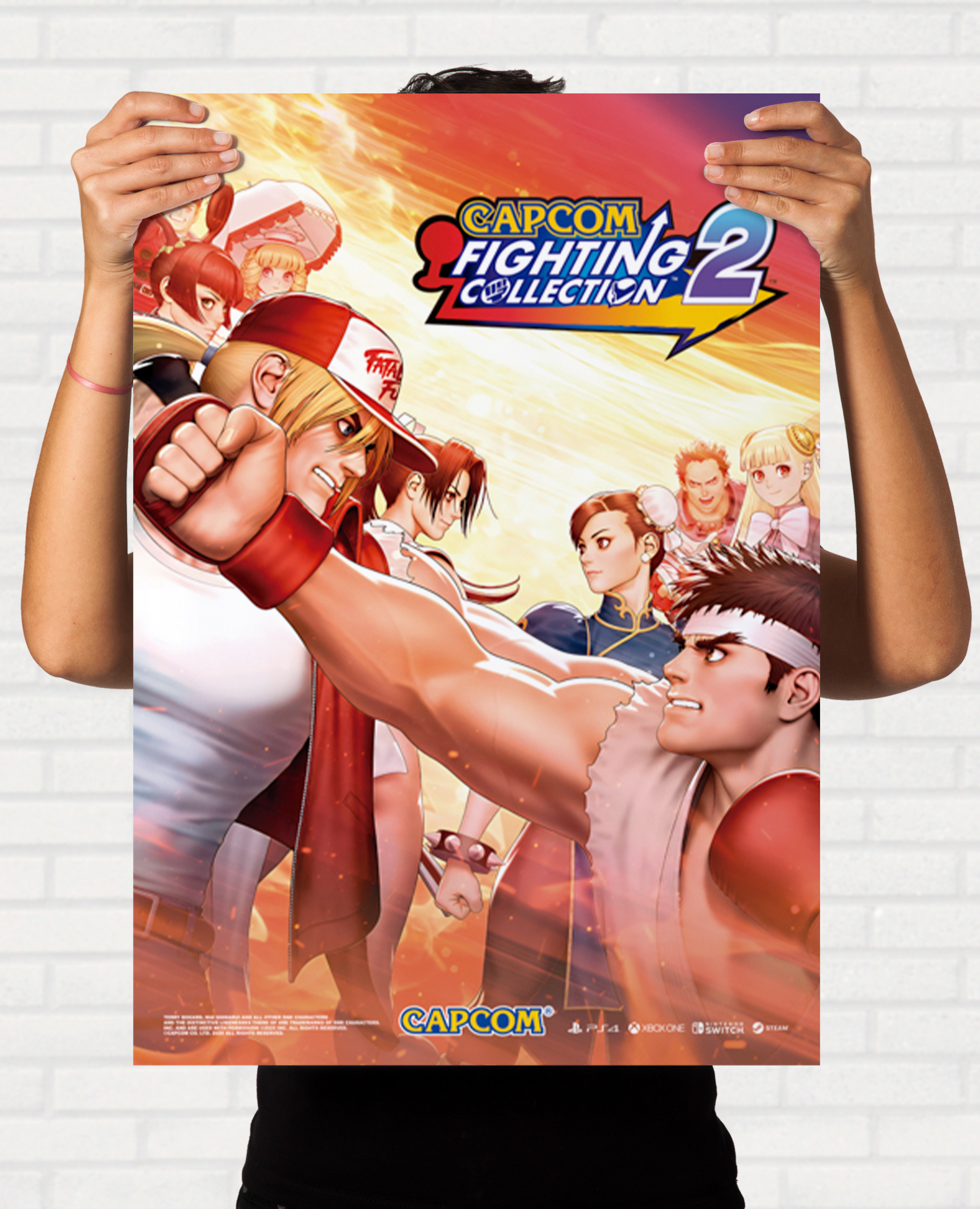 Quadro Capcom Fighting Collection 2 - Pôster Capcom - Final Frame Quadros Decorativos