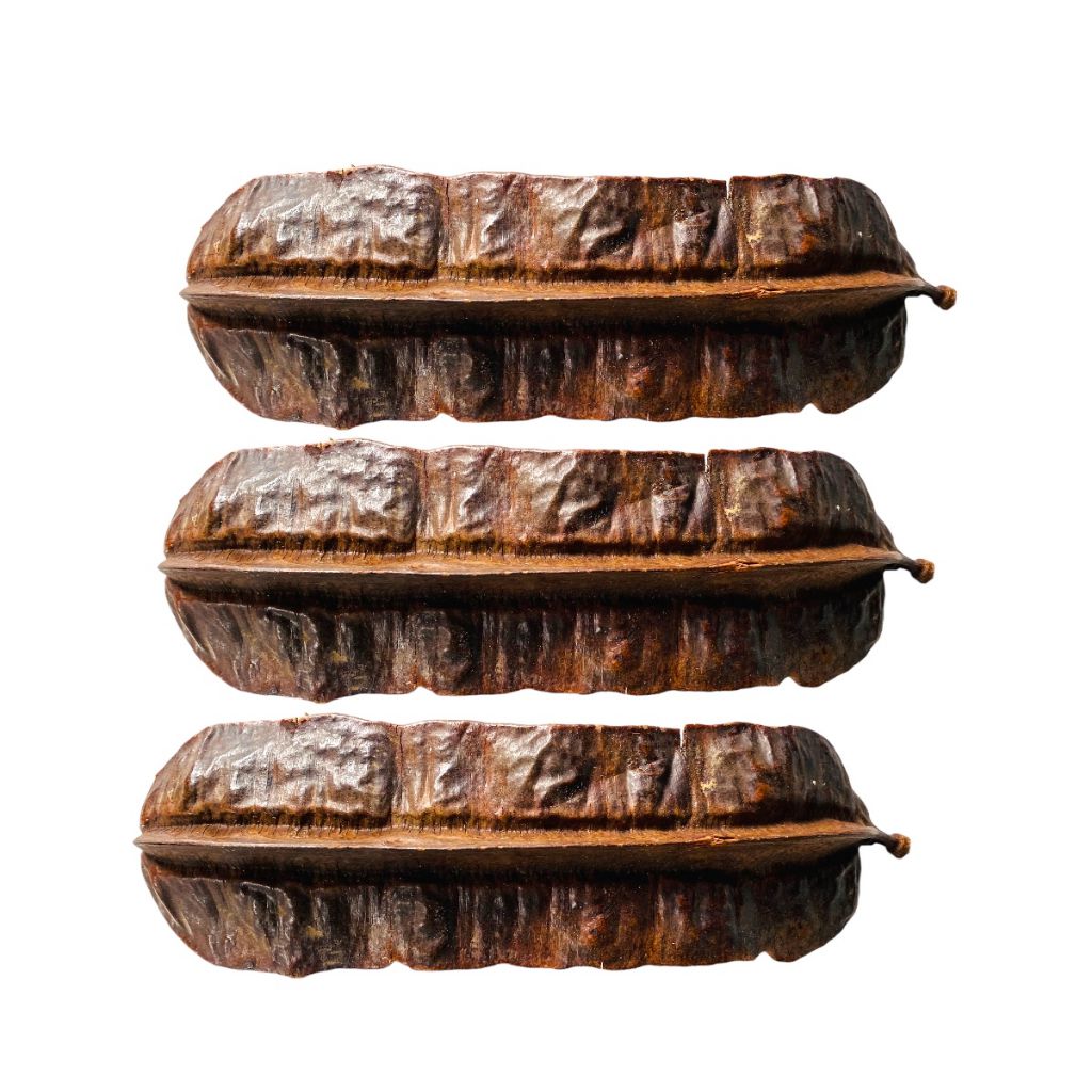 3 Fava De Aridan Africana Original Para Rituais Religiosos - Loja Salve ...