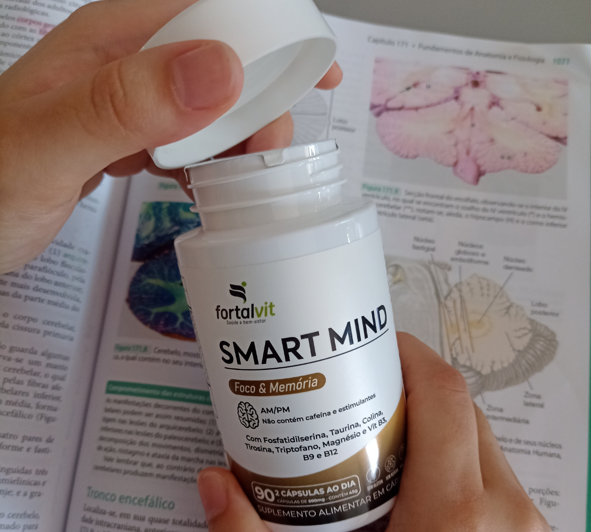 SMART MIND - Foco e Memória 90 cápsulas - FortalVit - Saúde e Beleza