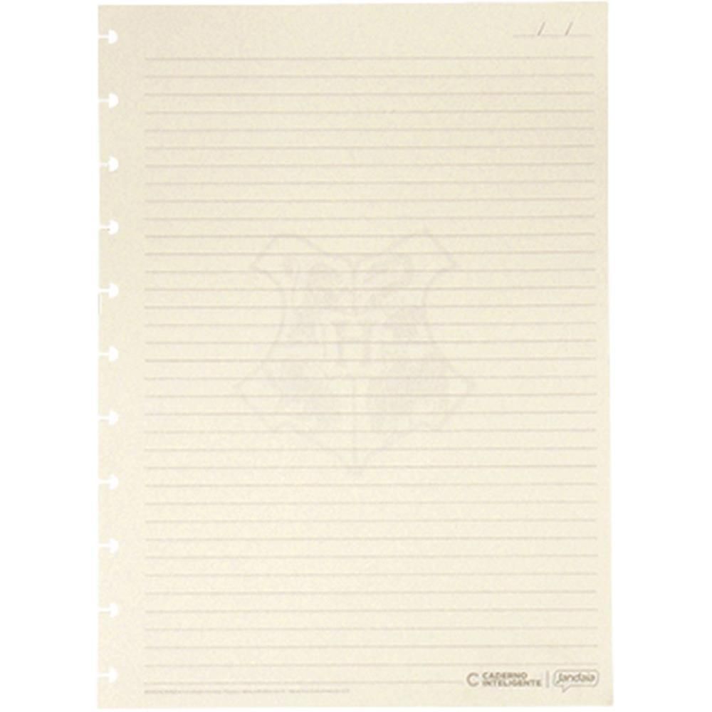 Caderno Inteligente Refil Grande HARRY Potter Paut. 50F - TK Shopping