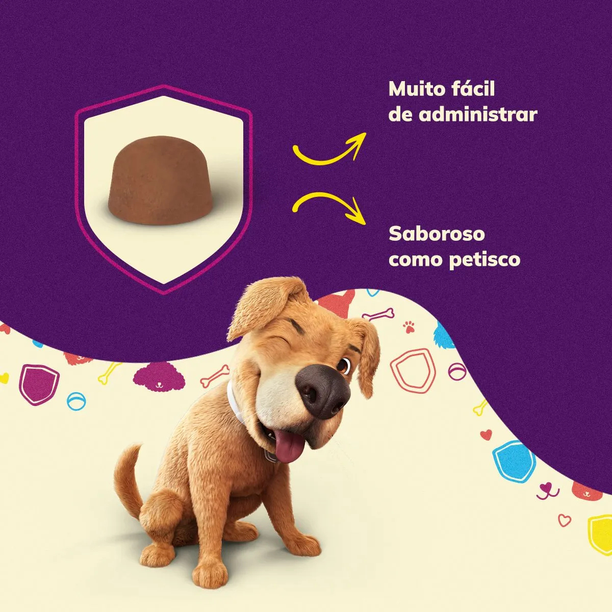 Defenza Cães 20 a 40kg 400mg - Casa Brasil Pet Center | Tudo para seu PET