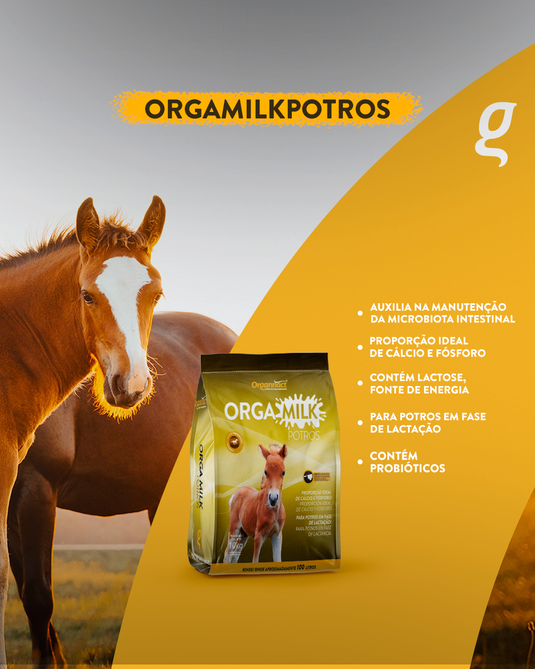 Orga Milk Potros 10 Kg - Organnact - Kajavet Farmácia Veterinária