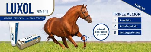 Luxol 100 Gr - Syntec - Kajavet Farmácia Veterinária