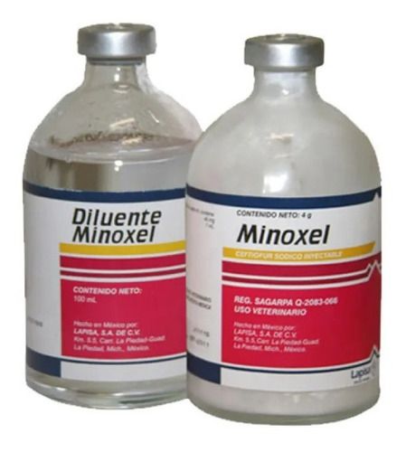 Minoxel 8G 100 mL - Lapisa - Kajavet Farmácia Veterinária