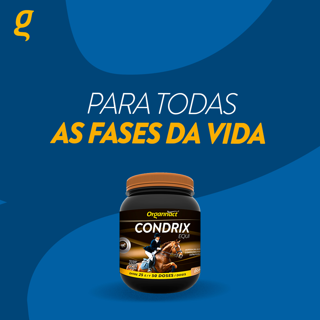 Condrix Equi 500 Gr - Organnact - Kajavet Farmácia Veterinária