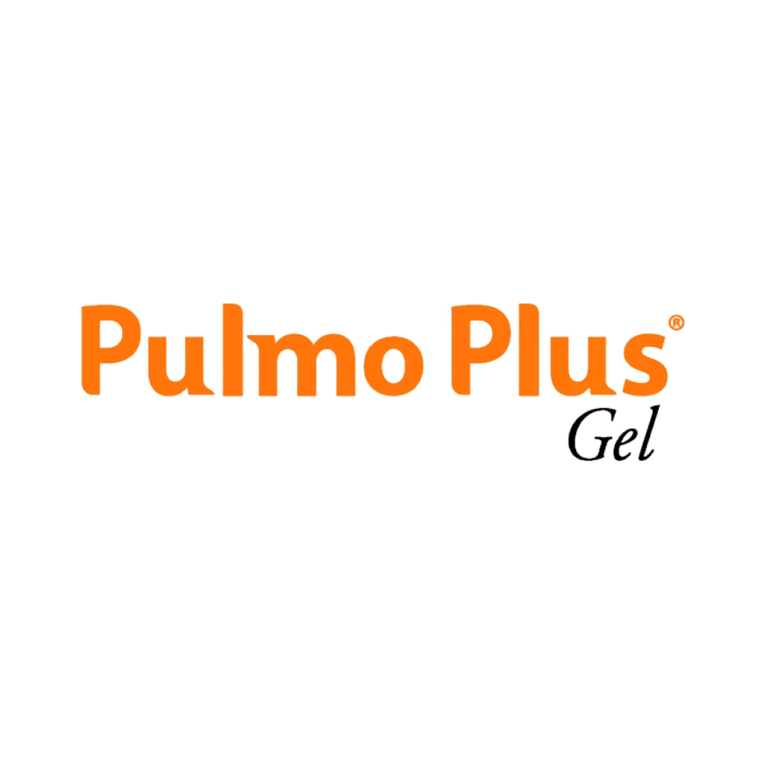 Pulmo Plus Gel 500 mL (Controlado) - Vetnil - Kajavet Farmácia Veterinária