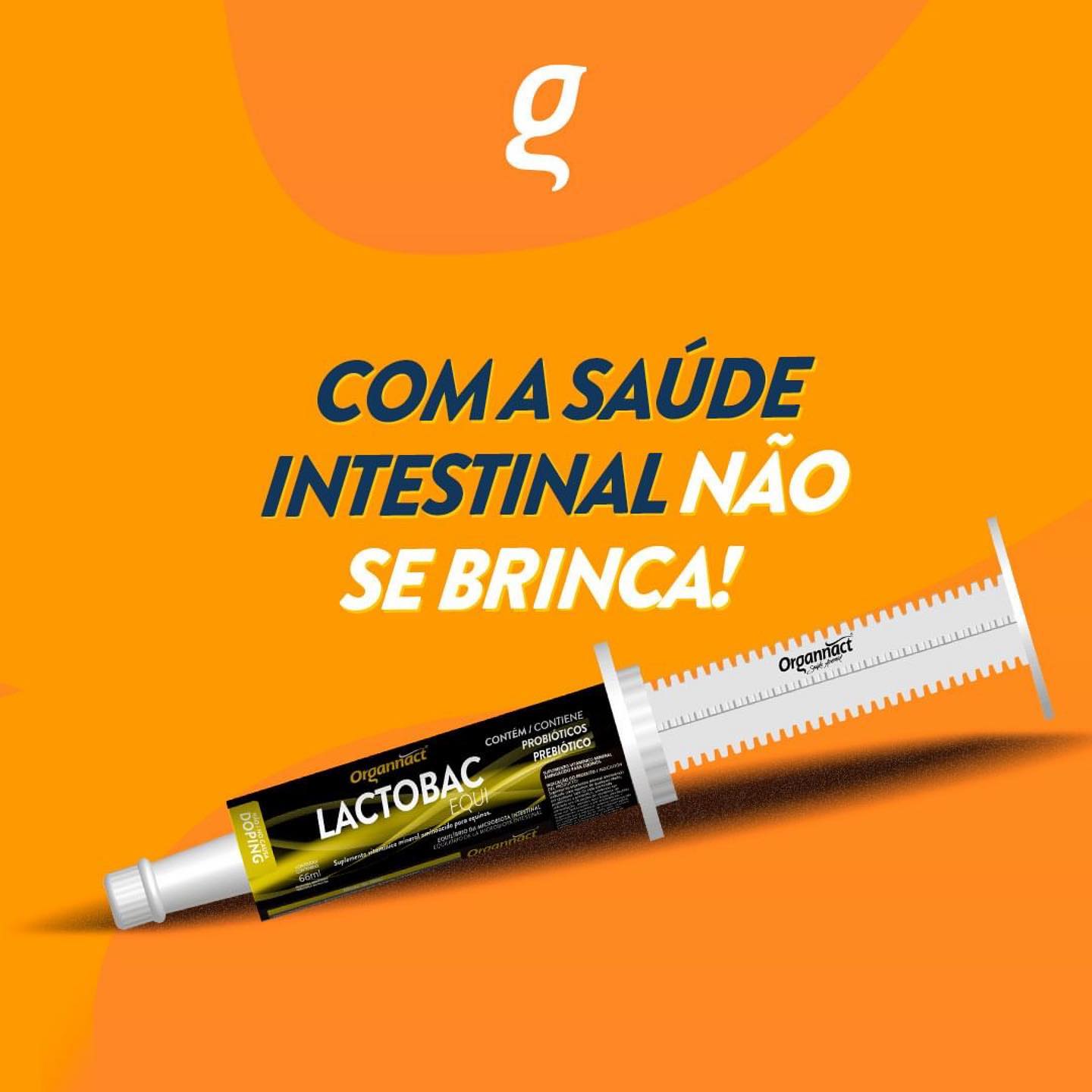 Lactobac Equi 66 mL - Organnact - Kajavet Farmácia Veterinária