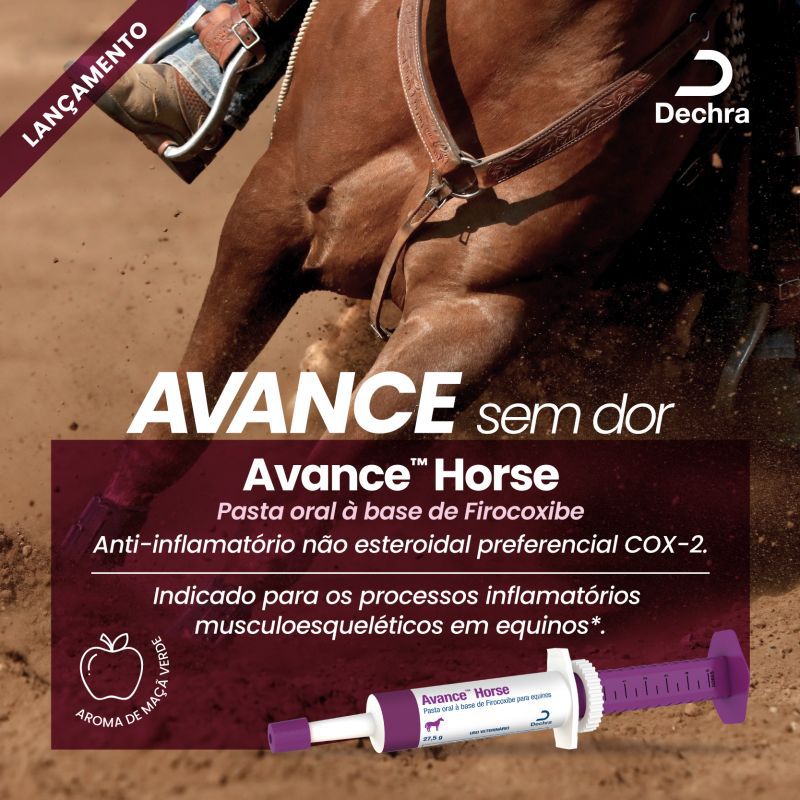 Avance Horse 27,5 Gr - Dechra - Kajavet Farmácia Veterinária