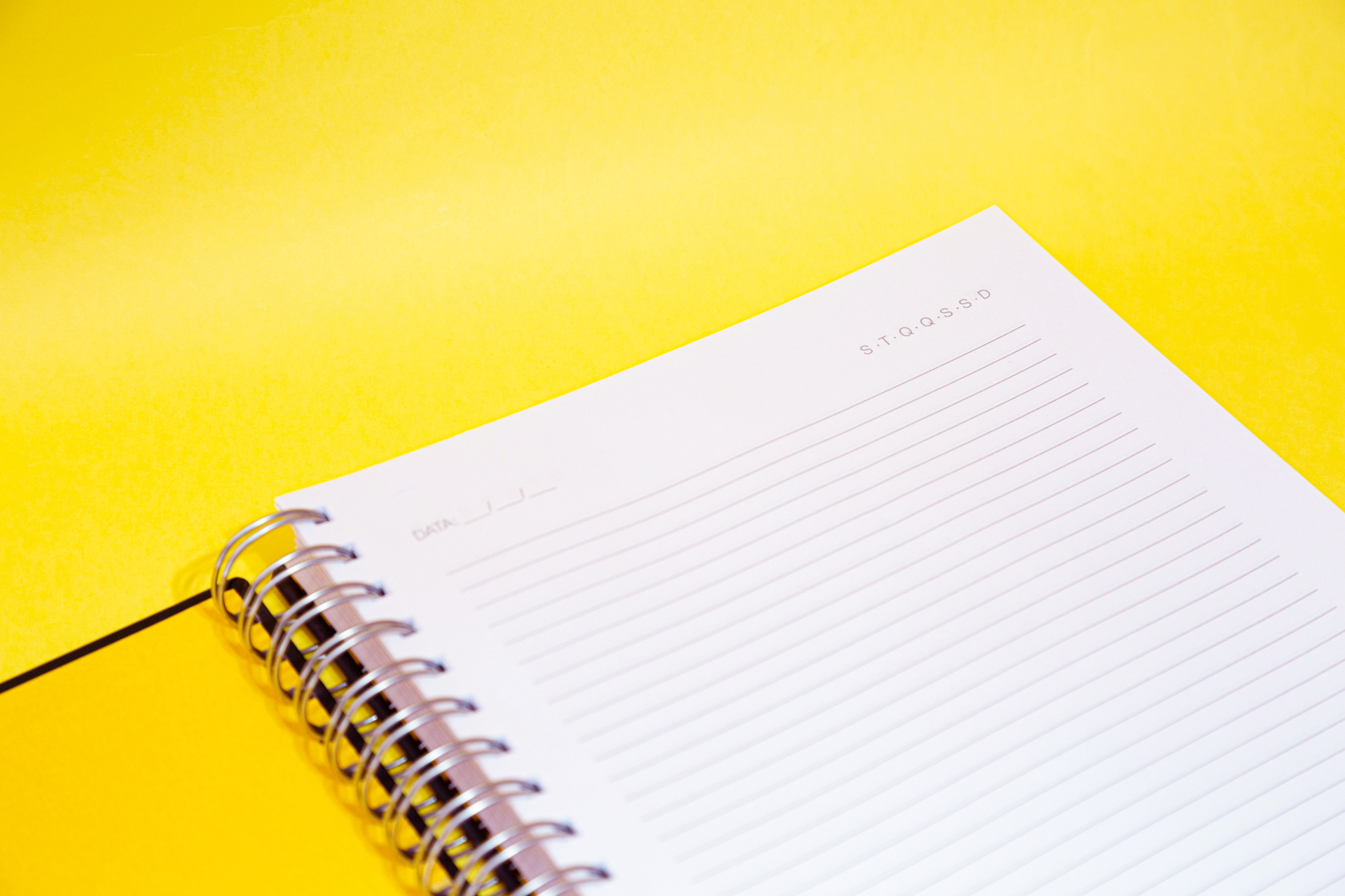 Caderno Escolar A4 Espiral | Lhama | Personalizado - Make My Memo