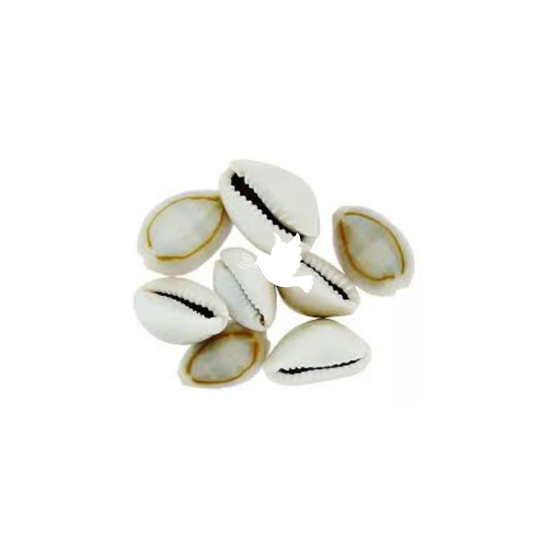 Búzios Umbanda Fechado - Unidade - Caminho da Umbanda