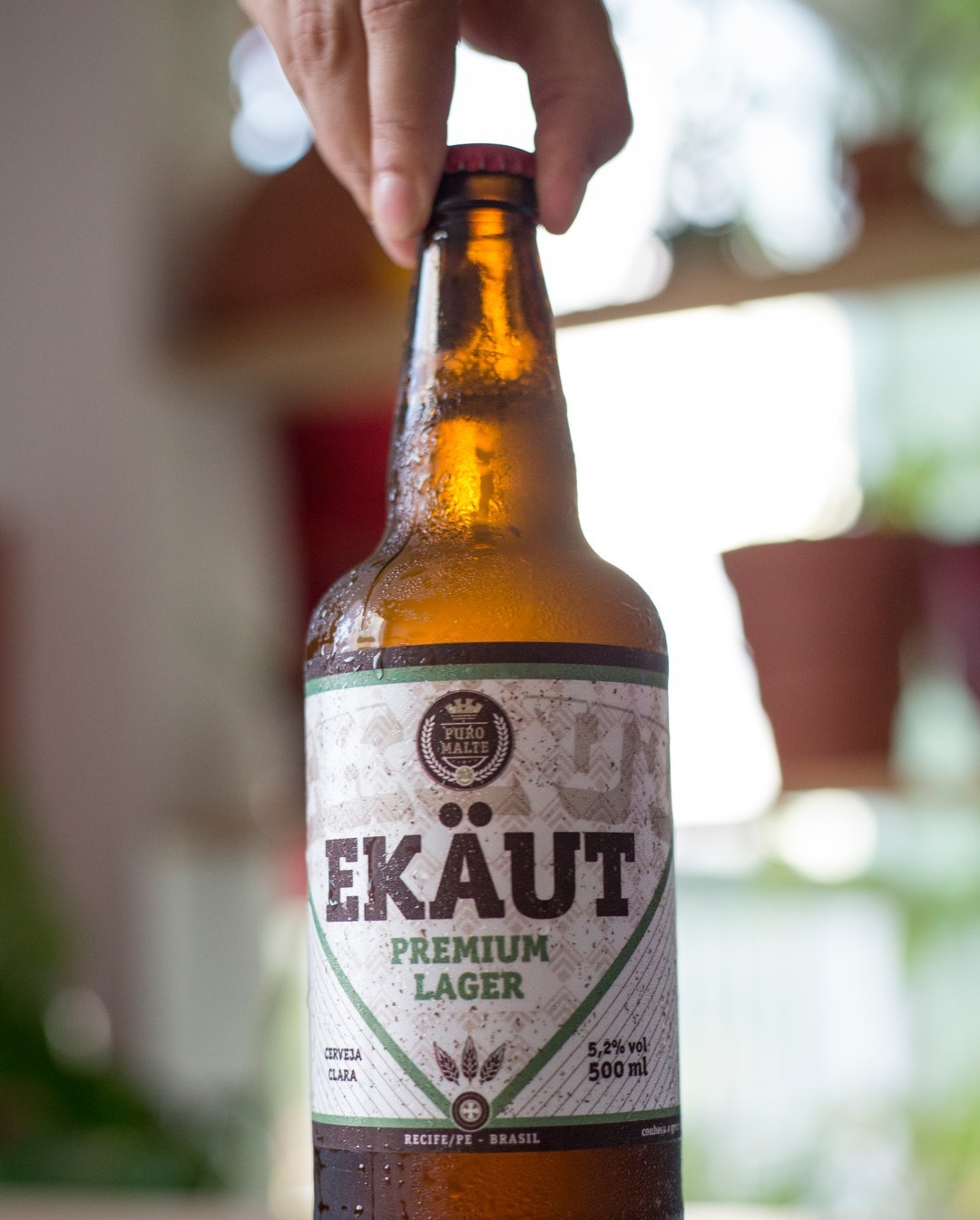 CERVEJA PREMIUM LAGER 500 ML - CAIXA 12 GRF - EKAUT CERVEJARIA