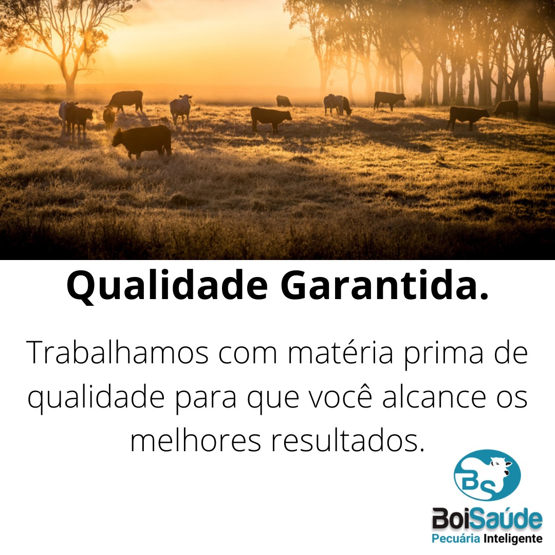 Total Leite Premium (Monensina) + Total Ureia Premium - Boi Saúde - Boi Saúde