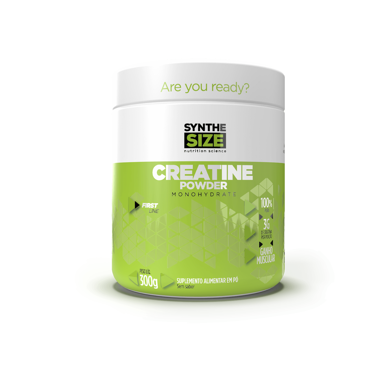 CREATINA POWDER 300g Pote Synthesize - CHARK PRODUTOS NATURAIS E ...