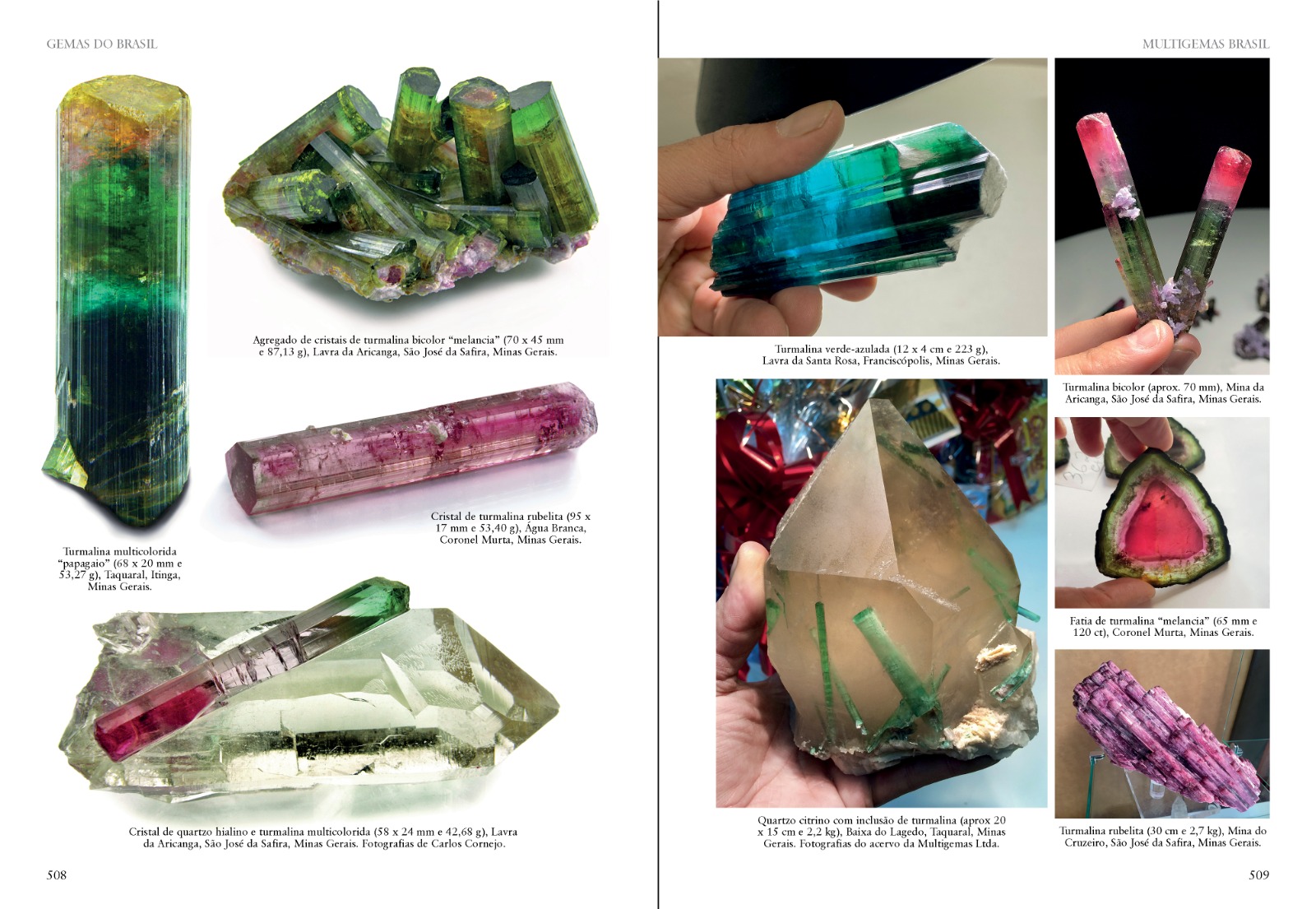 Livro Gemas Do Brasil - Carlos Cornejo - Macla Minerais