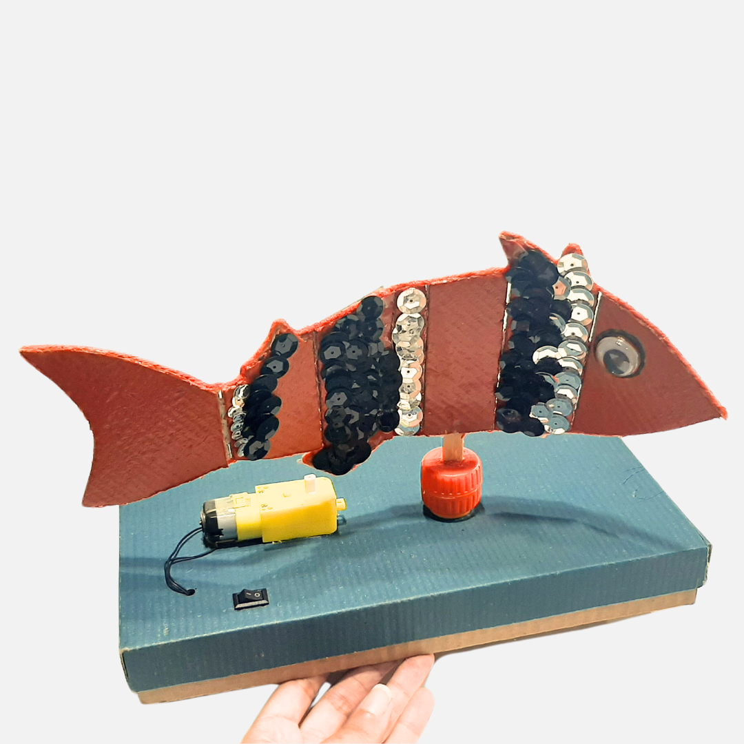 Fisch Bot - Optimus Robótica