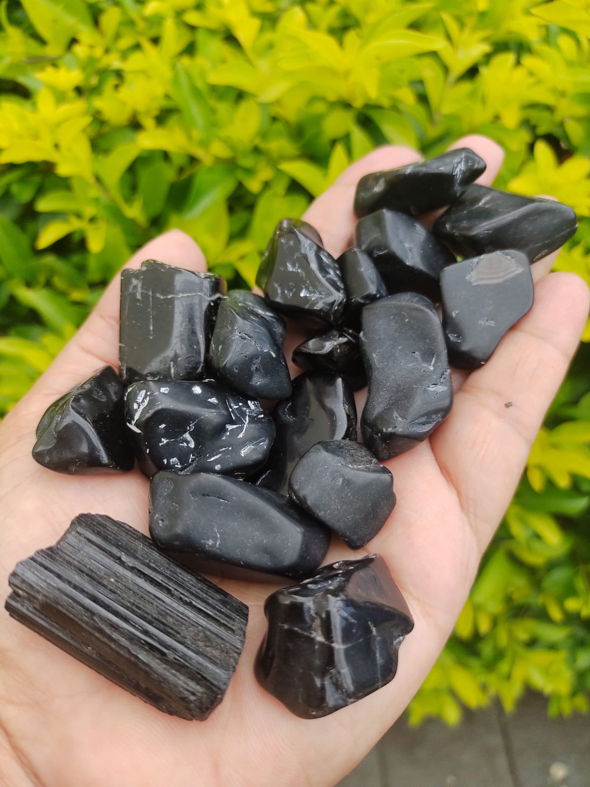 Pedra Turmalina Negra: Proteção - Holos Cristais