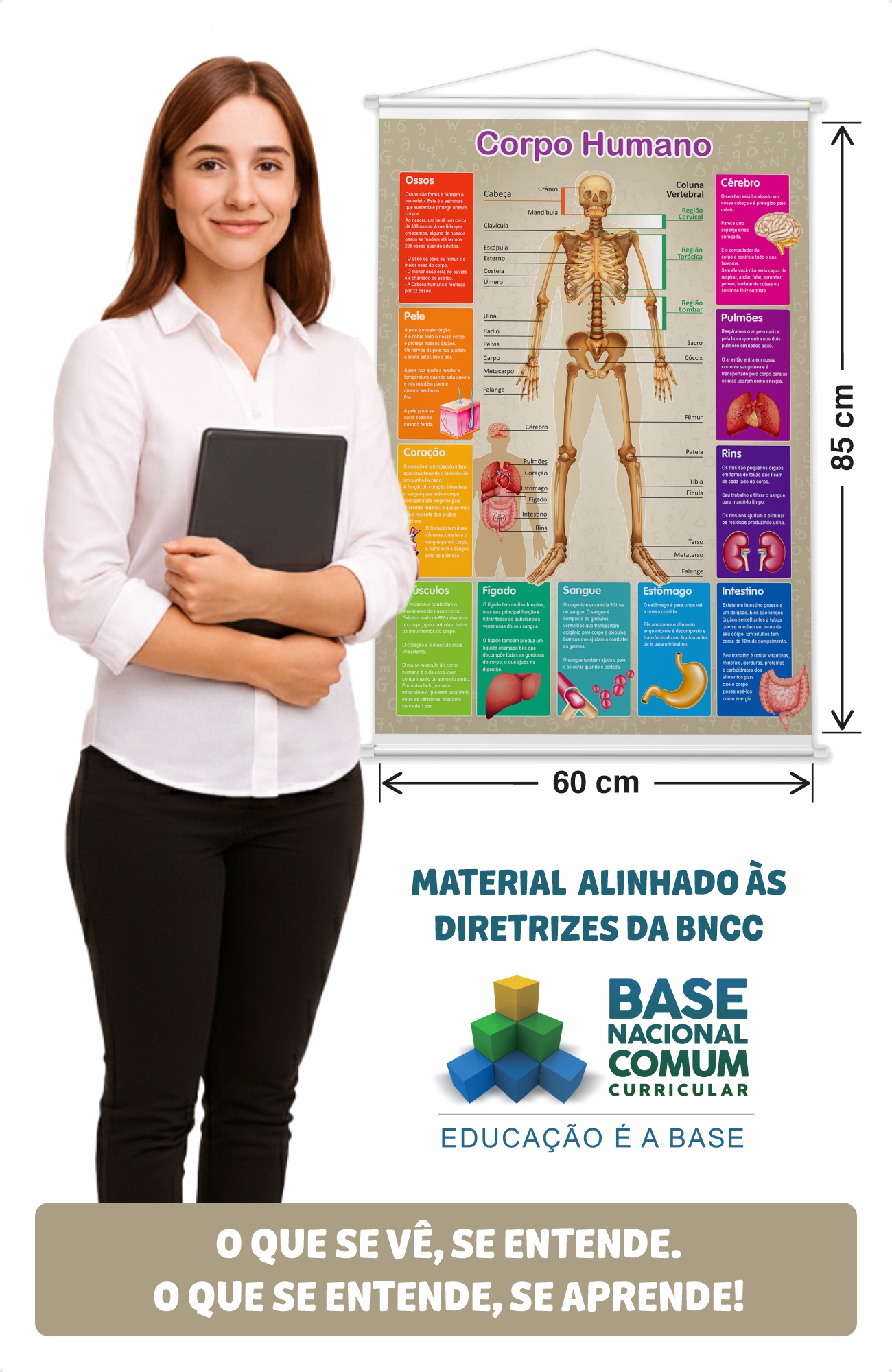 Banner Corpo Humano | Ciências Escolar - DidactoFun