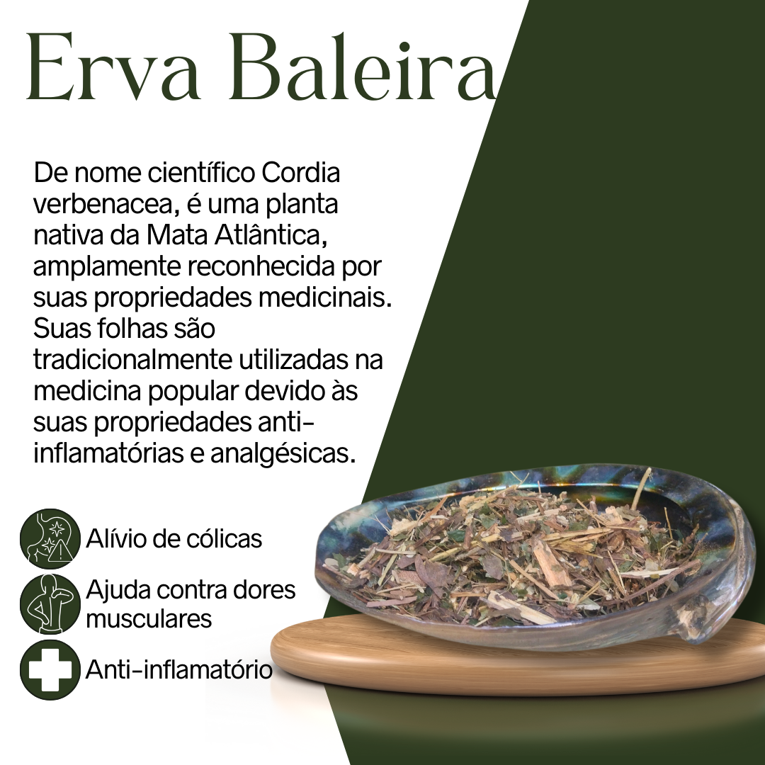 Erva Baleeira 50g - Loja Condor Del Viento
