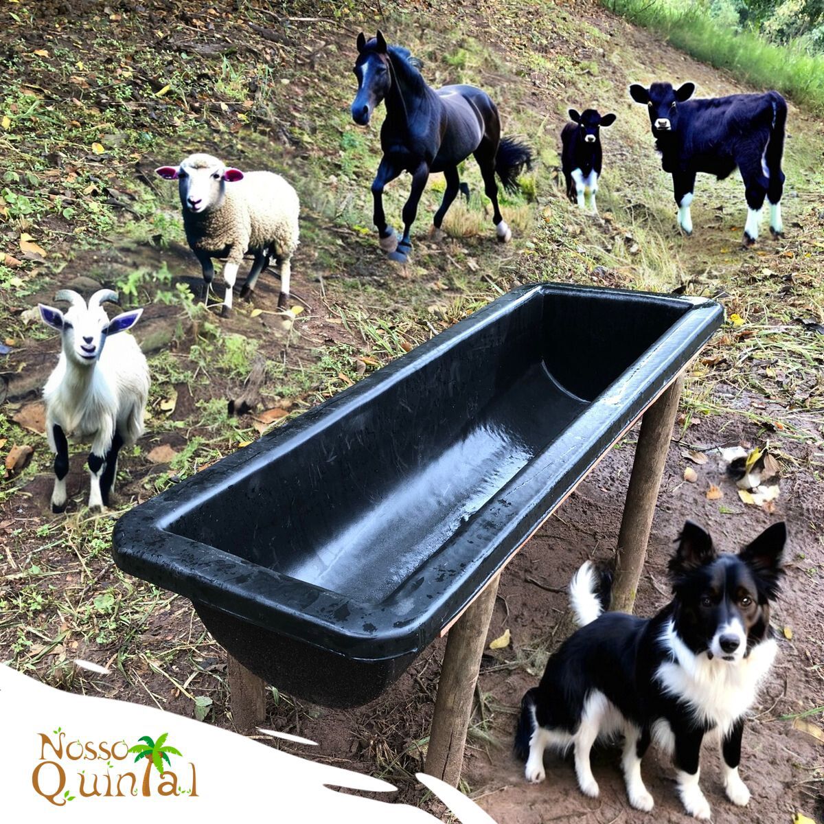 Cocho Comedouro 80 Litros para Gado, Cavalos, Caprinos, Ovinos e Cães ...