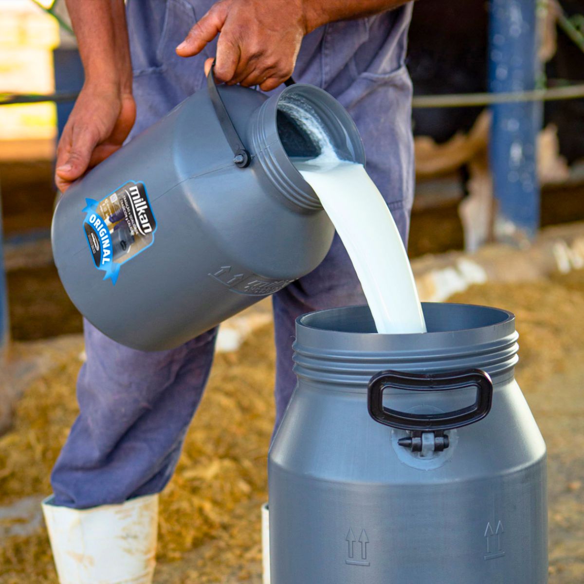 Vasilhame Milkan Leiteira 30 Litros Galão Latão Tambor Leite - Pet Shop ...