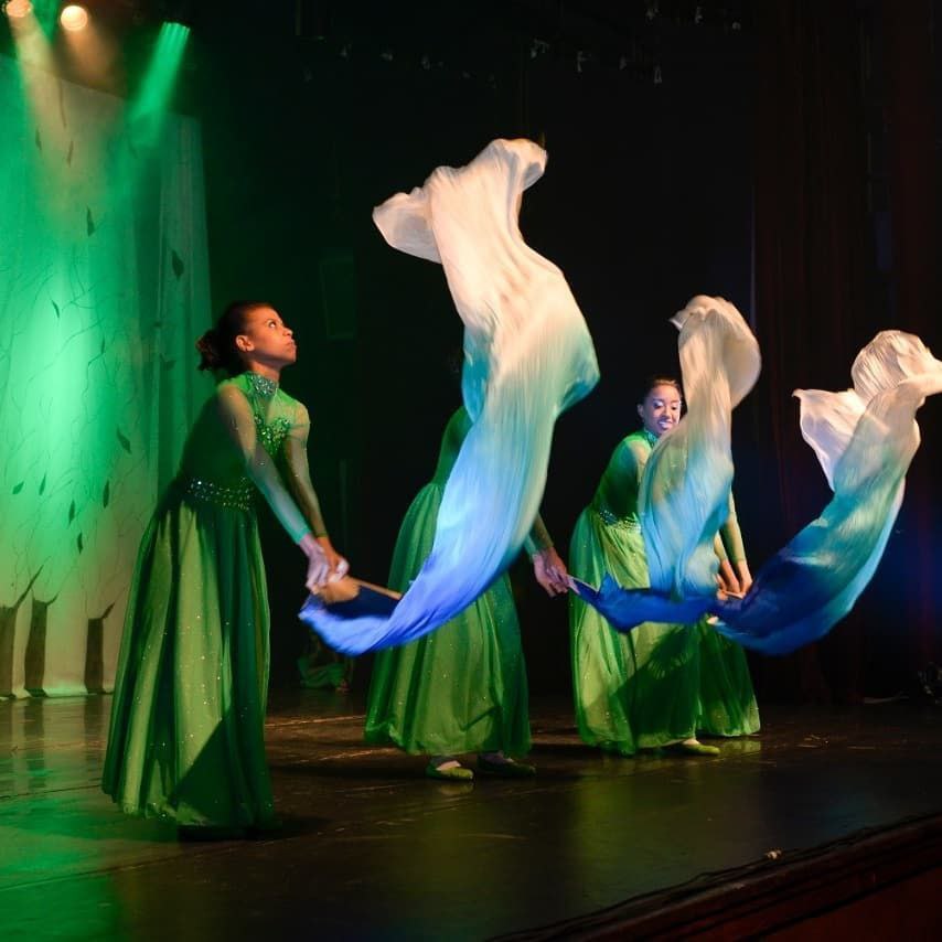 FAN VEU PAR - LEQUE DE SEDA ORIGINAL SEM LED - Excelência Dance