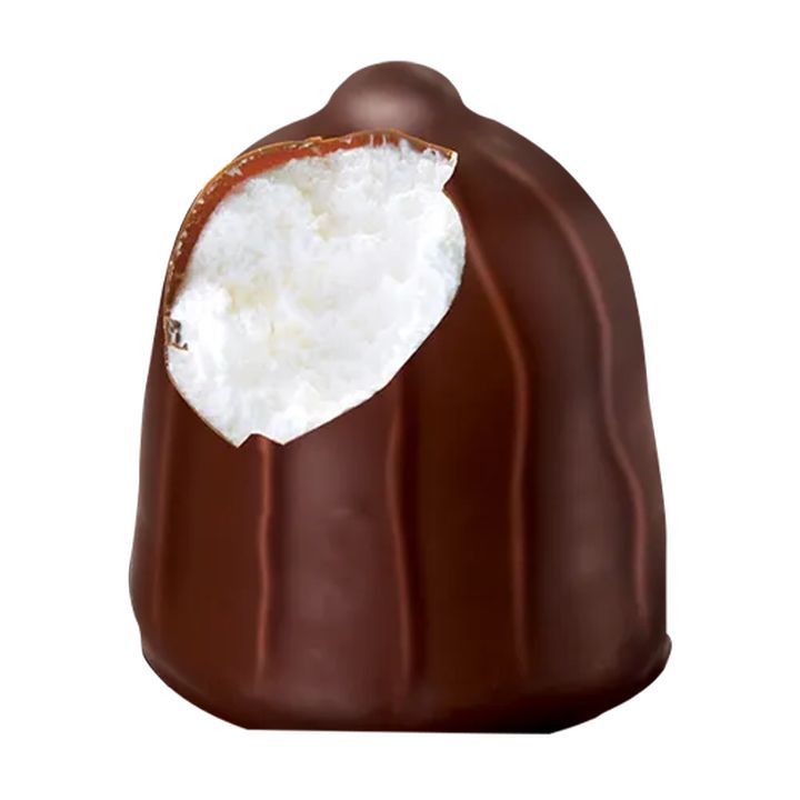 Tetop Sabor Chocolate Jazam - Display com 50 UN - Loja de festa Cabral ...