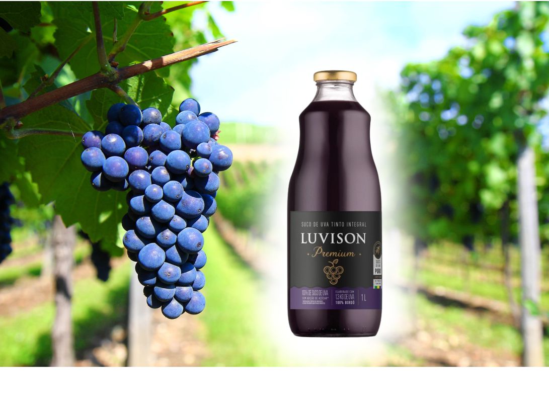 Suco de Uva Tinto Integral Luvison - Garrafa Vidro com 1L - Loja de ...