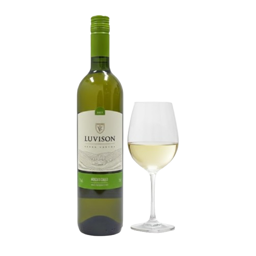Vinho Luvison Branco Moscato Giallo - Garrafa com 750ML - Loja de festa ...