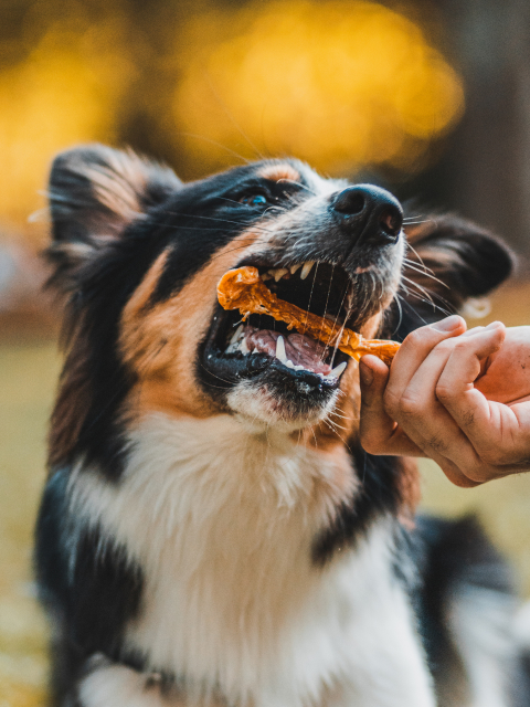 Tiras de Frango - Natuka