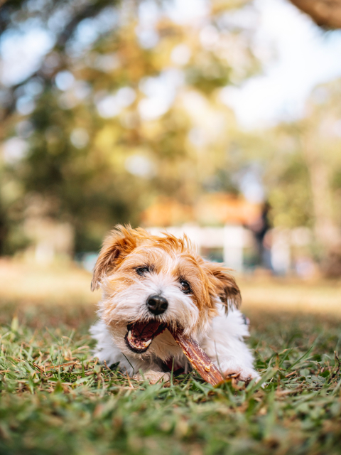 Natuka Stix - Natuka