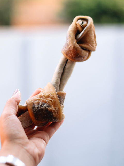 Natuka Knot - Natuka