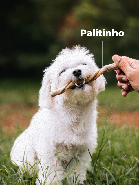 Natuka Box Relaxa P - Natuka