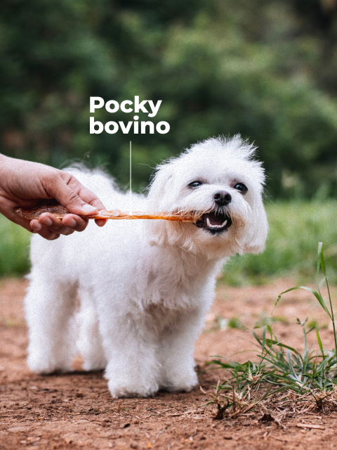 Natuka Box Relaxa P - Natuka