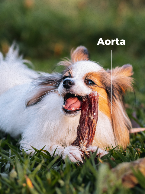 Natuka Box Relaxa P - Natuka