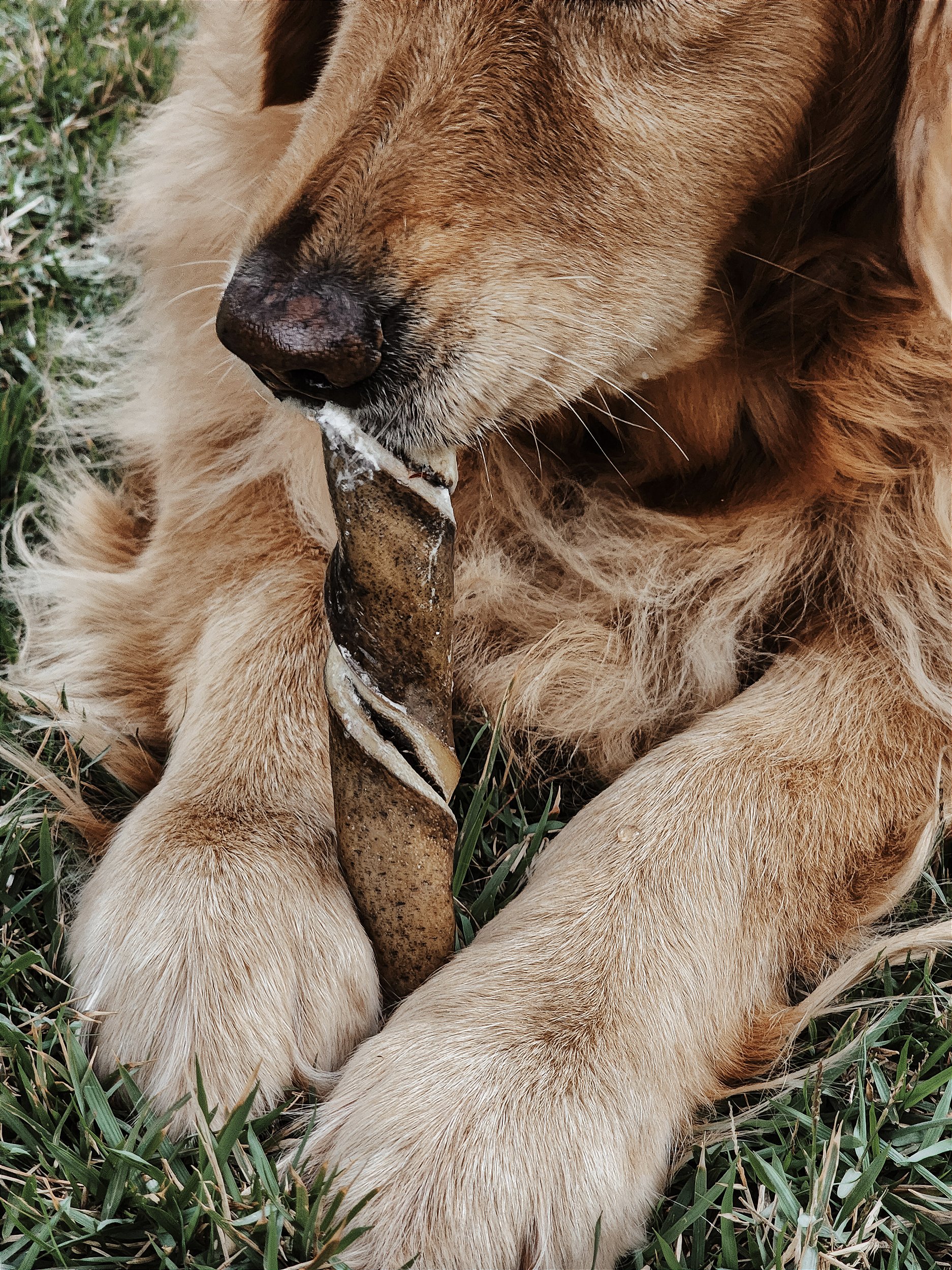 Natuka Buba - Natuka