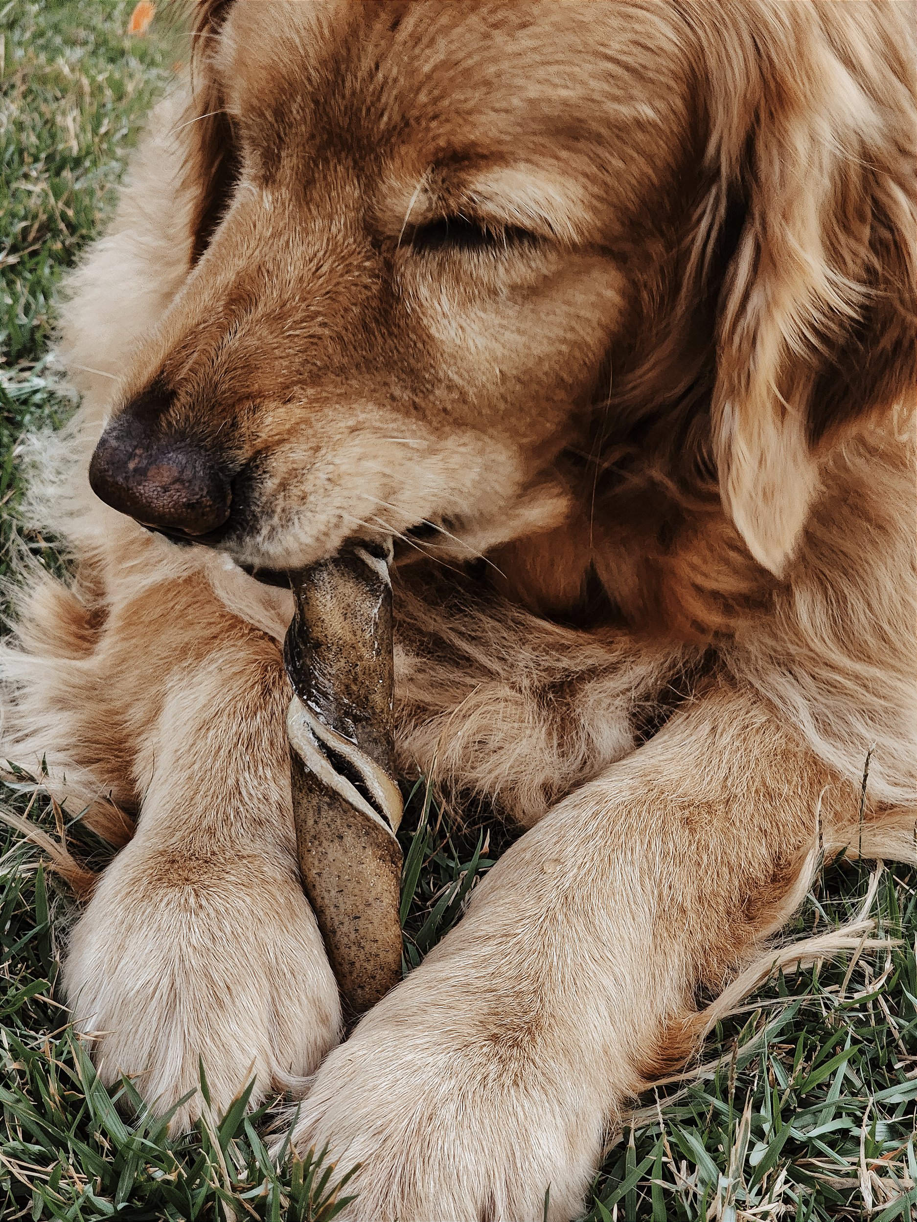 Natuka Buba - Natuka