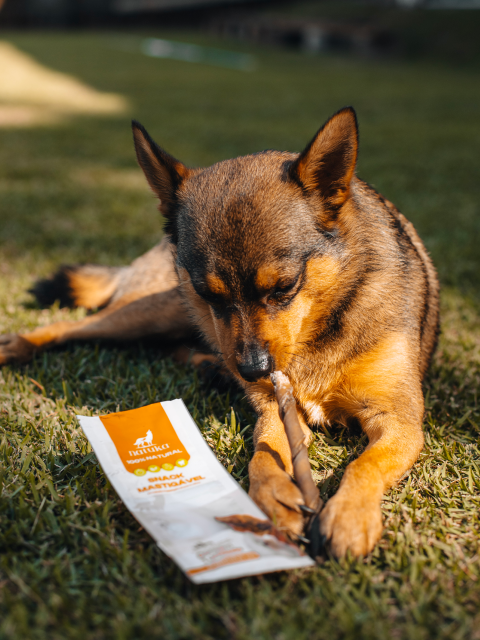 Natuka Uni Palitinho - Natuka