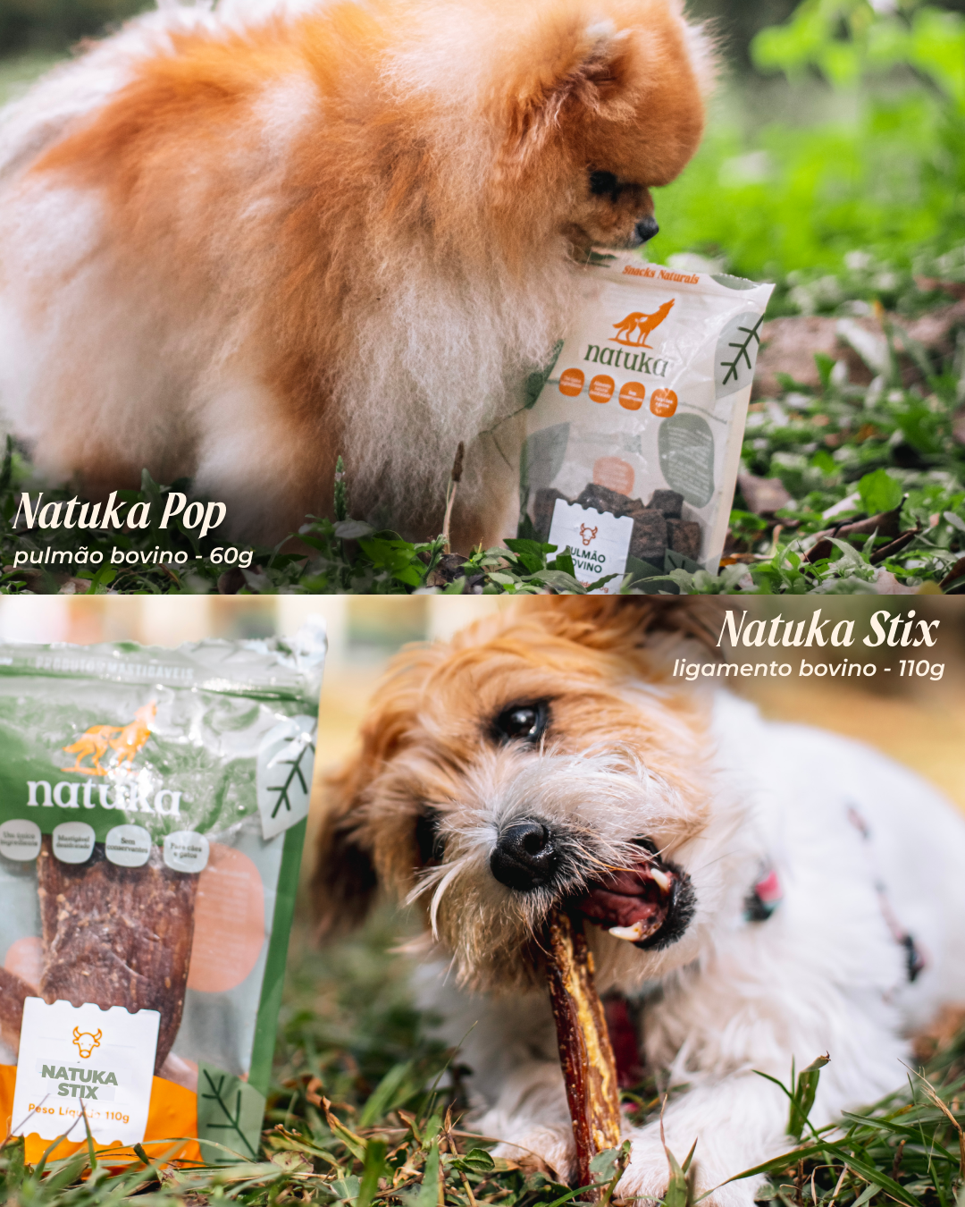 Box Natuka P - Natuka