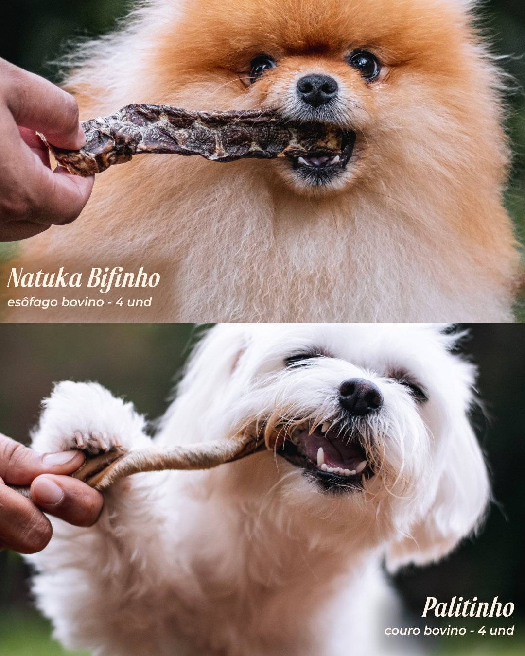 Box Natuka P - Natuka