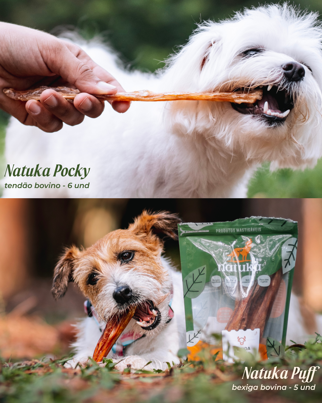 Box Natuka P - Natuka