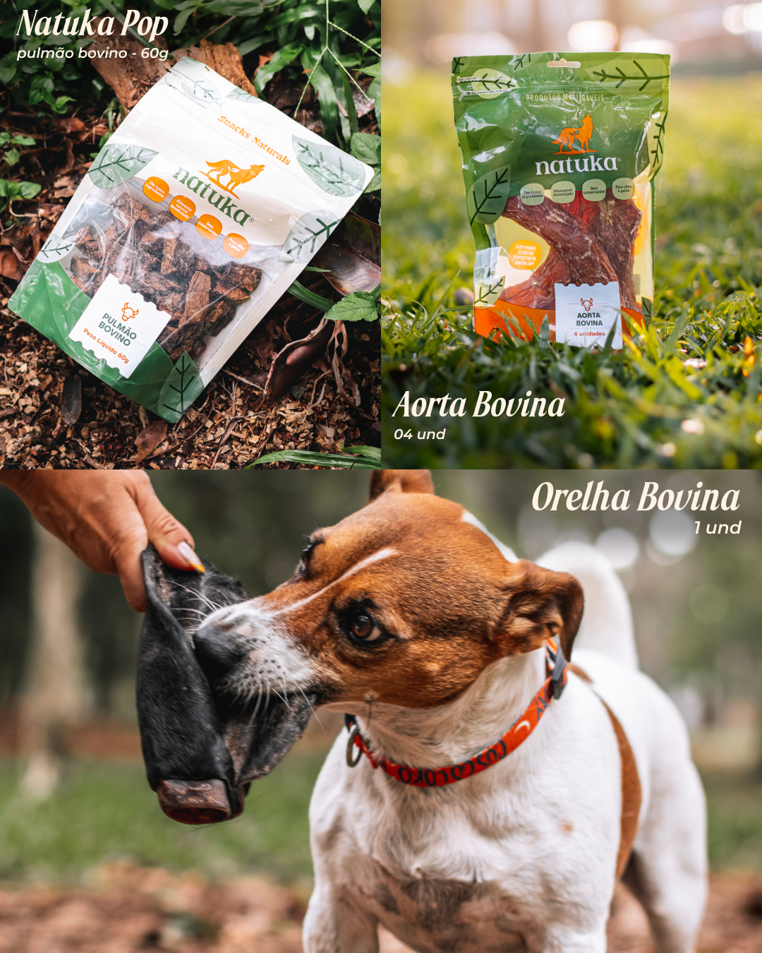 Box Natuka M - Natuka