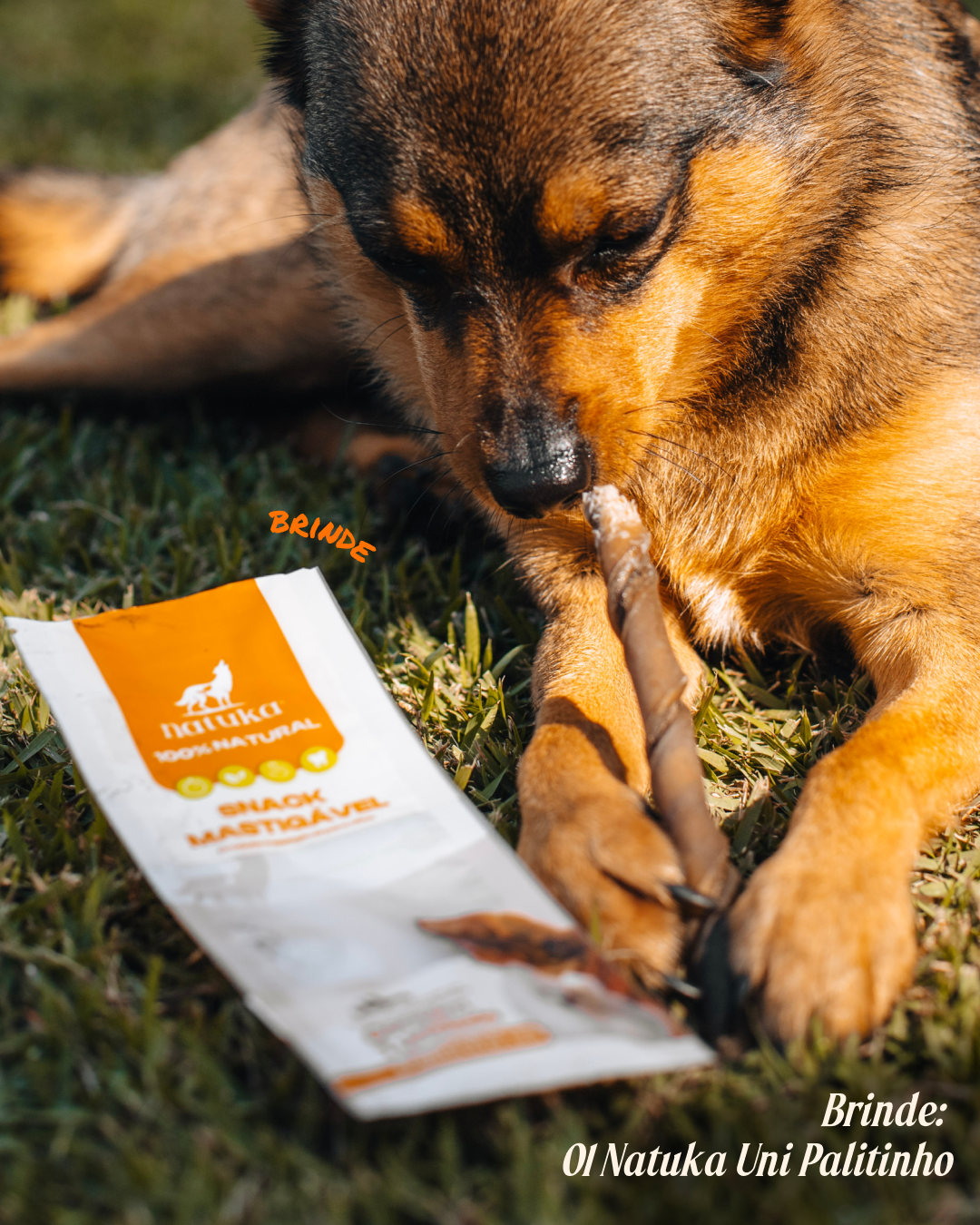 Box Natuka M - Natuka