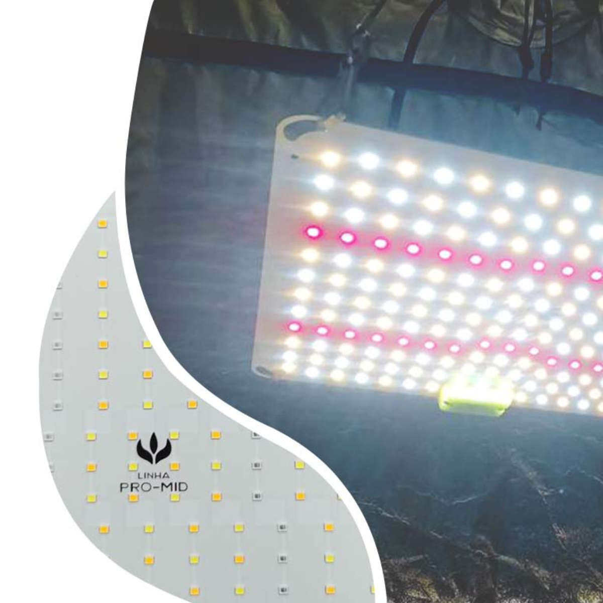 Painel de LED Board Master Plant - Pro-Mid Gold Series 35W - Cultivando Sustento - Grow Cultivo ...