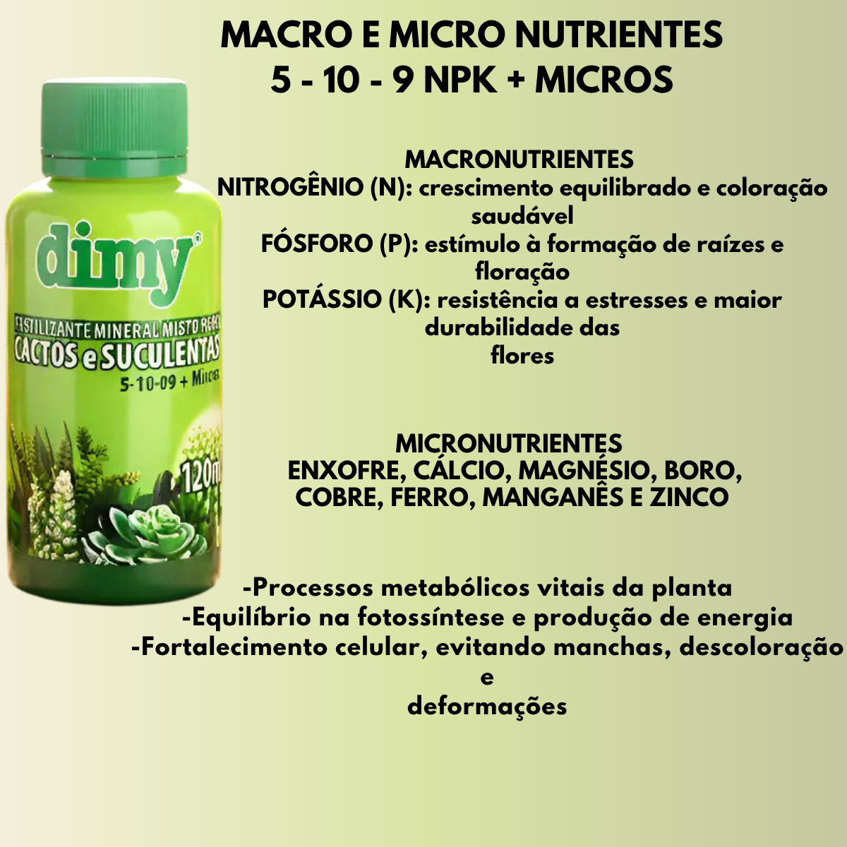 Fertilizante Adubo Para Cactos e Suculentas Dimy 120ml - Yuri Home Garden