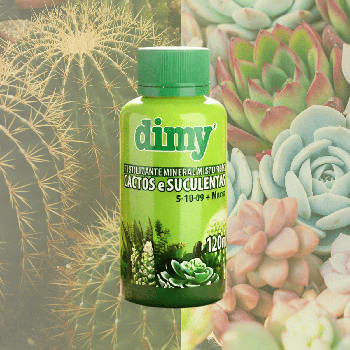 Fertilizante Adubo Para Cactos e Suculentas Dimy 120ml - Yuri Home Garden