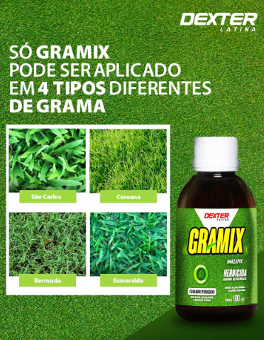 Herbicida Seletivo Para Gramados Gramix Pronto Uso 500ml - Dexter - AgroJão