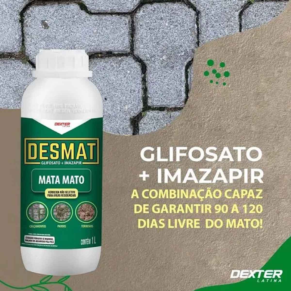 Herbicida Mata Mato Desmat 250ml - Dexter - AgroJão